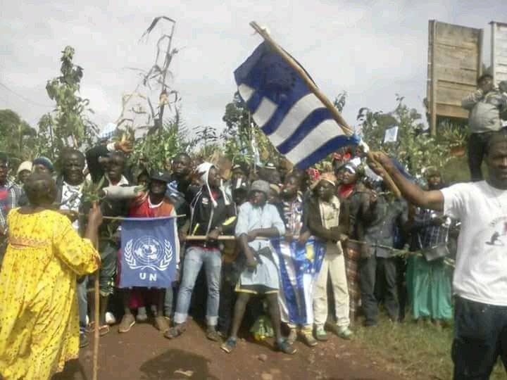 Over a dozen killed during independence protests in Anglophone Cameroon ...
