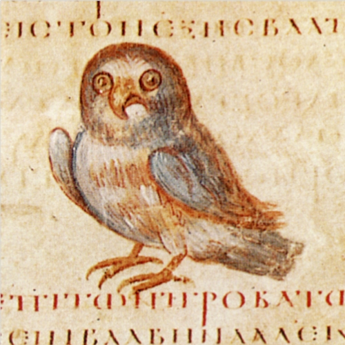Roman Times: Owls: Symbols of Wisdom or Harbingers of Death