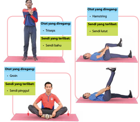 All about life: Kecergasan (Kelenturan)