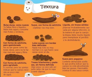 Desarrollo Sustentable 2016-17