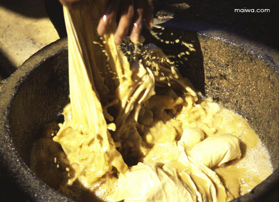 Natural Dyes - Myrobalan - the MAIWA BLOG