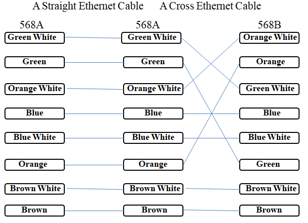 Types of Network With color code of Ethernet Cable