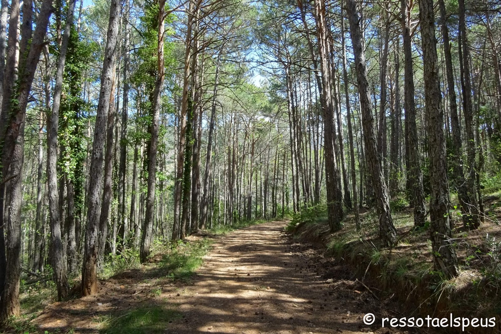 res sota els peus: Volta a les roques de la Móra Comdal des de Cambrils