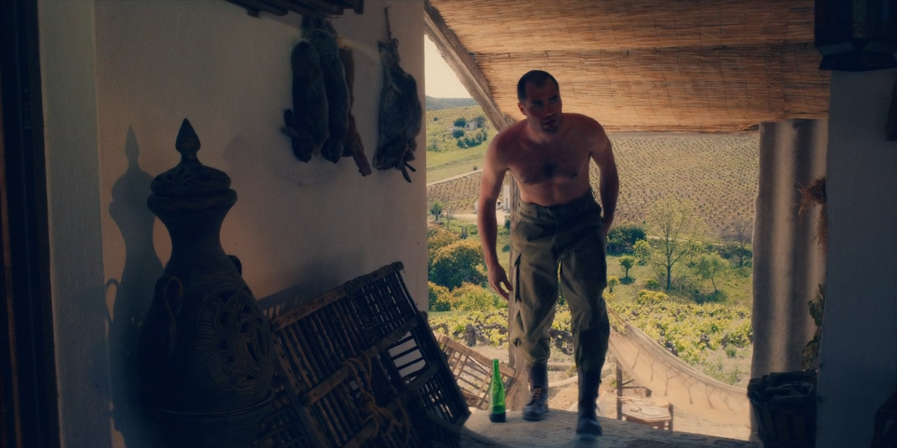 Binge Skin: Little Birds - Season 1 ~ DC's Men of the Moment