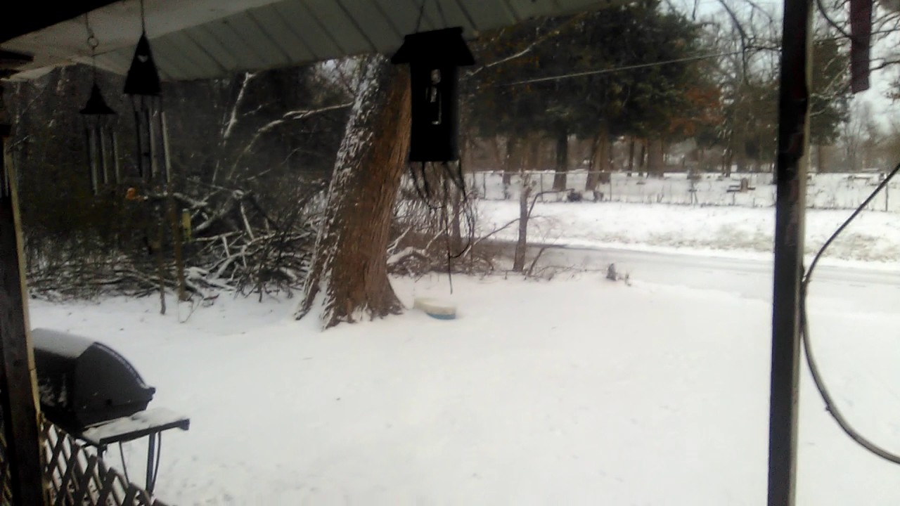 Paris, Texas, Petar Matović