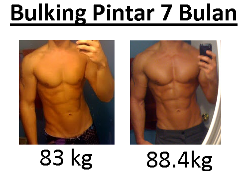 RAHASIA CARA BULKING YANG BENAR - HEALTHY SMART