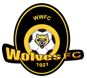 ESCUDOS DO MUNDO INTEIRO: AUSTRALIA - FOOTBALL QUEENSLAND PREMIER ...