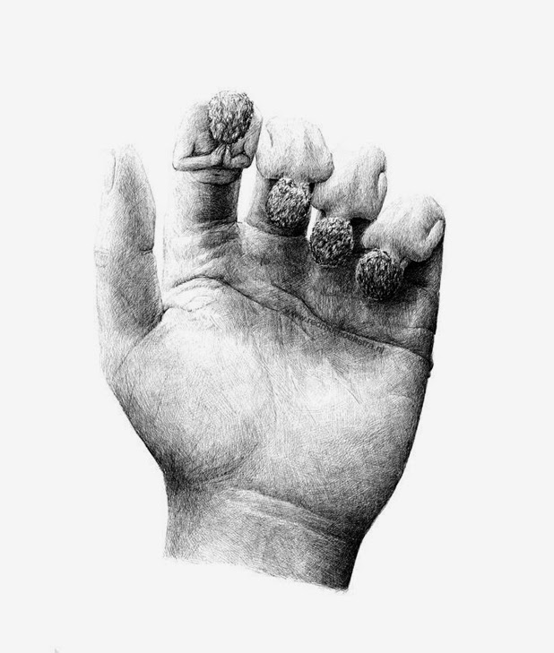 I need a guide: redmer hoekstra