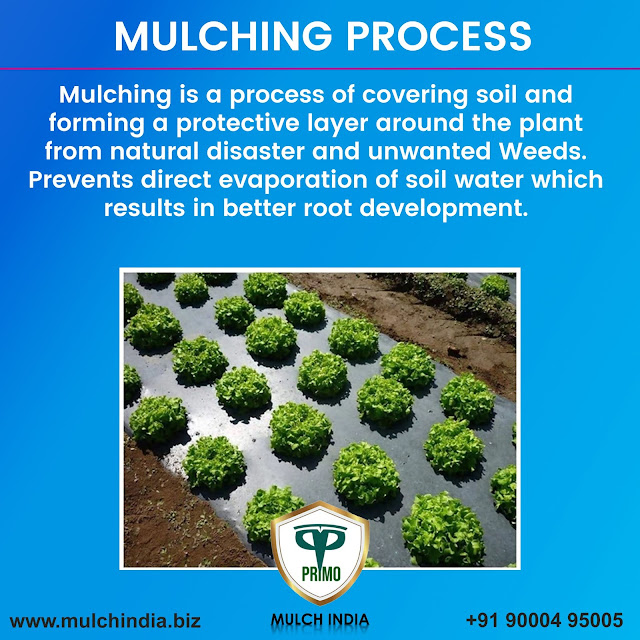 MulchIndia: Mulching Process Mulch India Call:+𝟵𝟭 𝟵𝟬𝟬𝟬𝟰𝟵𝟱𝟬𝟬𝟱 www ...