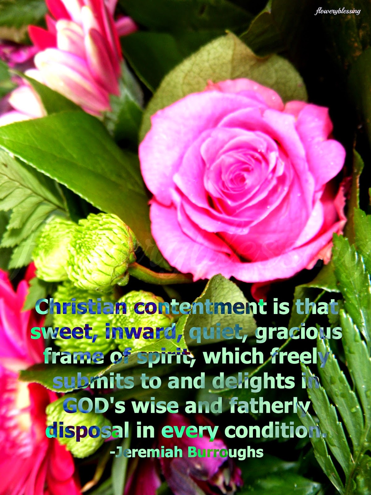 Flowery Blessing: Christian contentment is that sweet, inward, quiet ...