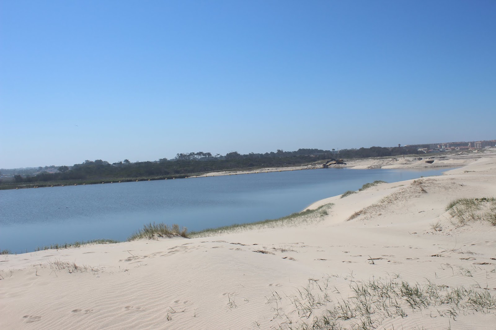 Portugaldenuncias: Lagoa de Paramos