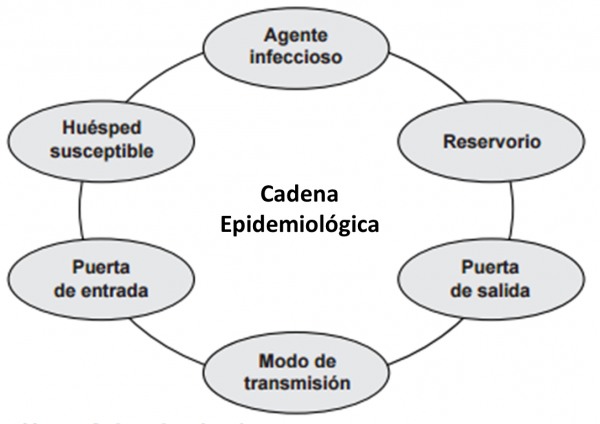 Medicina y Melodía: Epidemiología de las enfermedades transmisibles