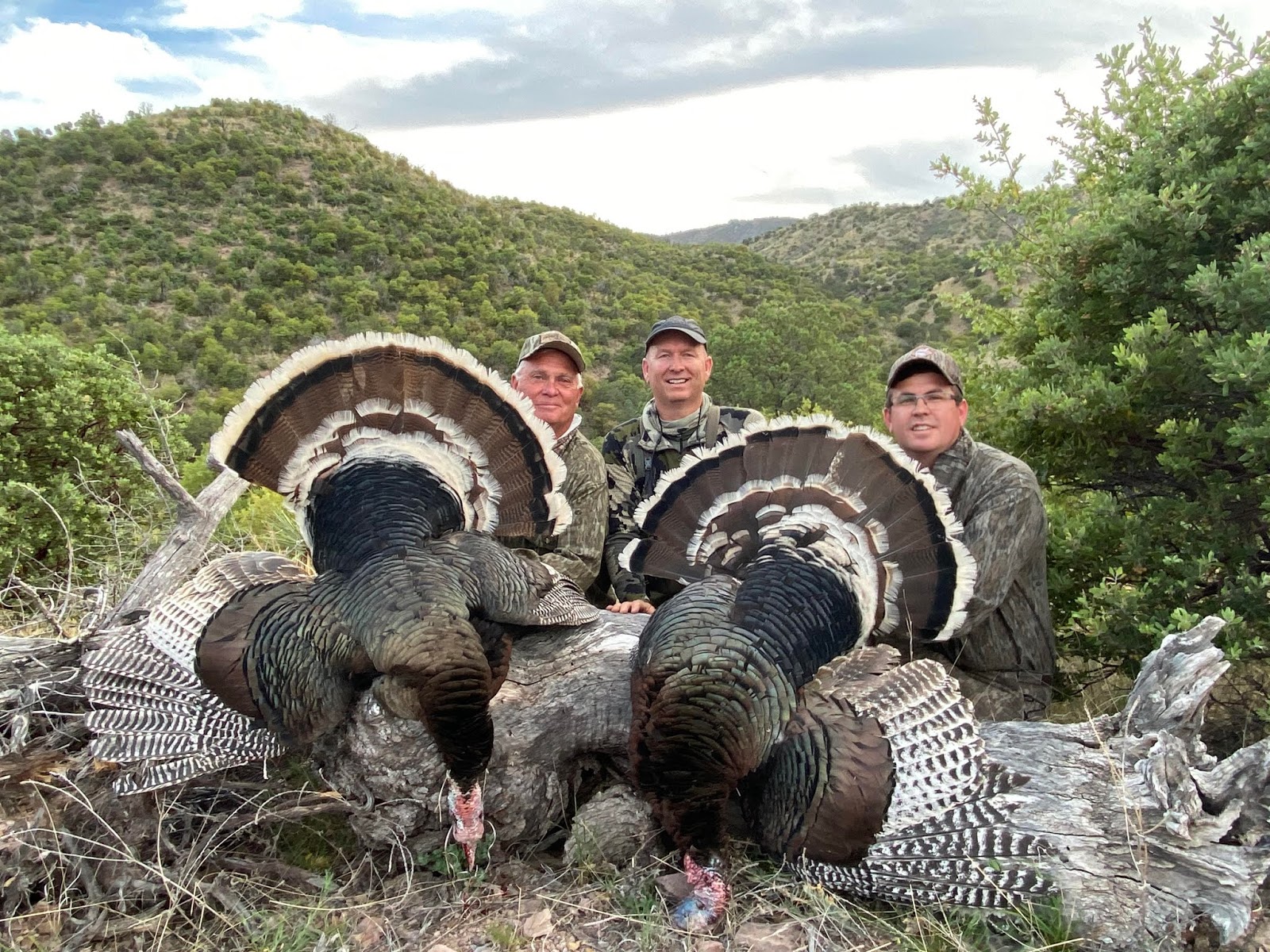 Goulds Turkey Hunt: 2020 Goulds Turkey Hunt in Mexico with Keith and ...