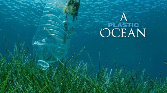 Save the Cetceans : A list of must-watch documentaries and where to ...