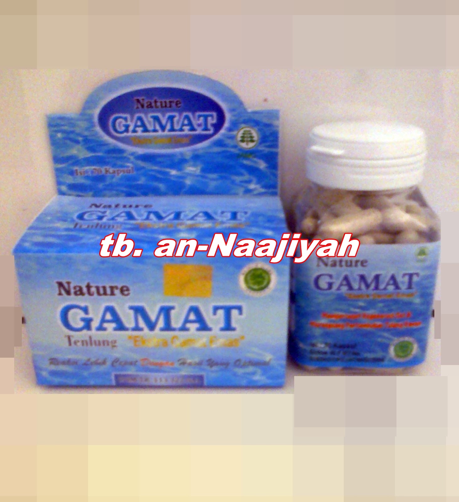 Toko Buku An-Naajiyah: Nature Gamat Tenlung "Ekstra Gamat Emas", Kapsul ...
