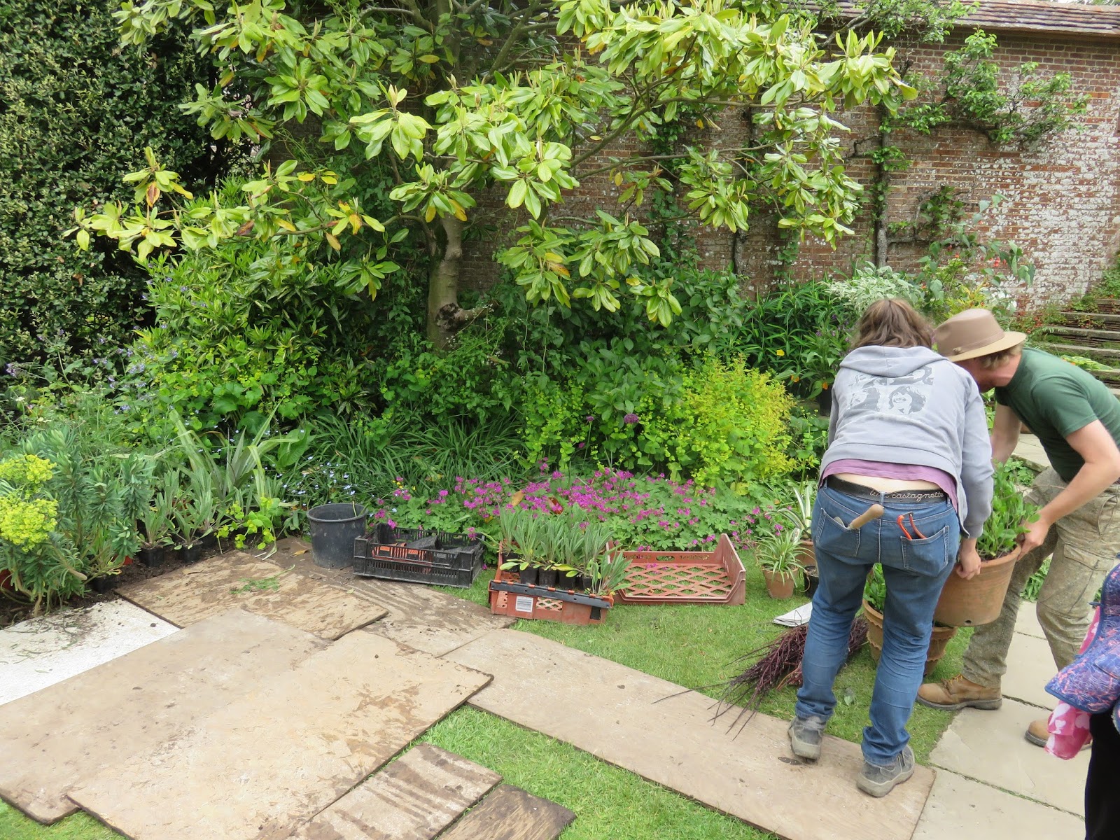The Gardener's Eye: Planting and Arranging in the Blue Garden at Great ...
