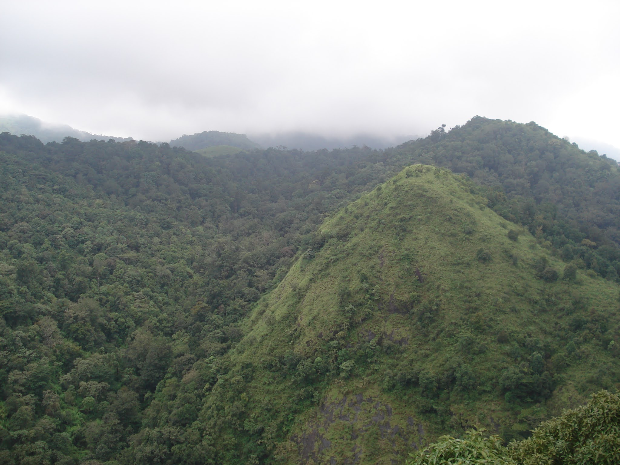 Historic Alleys: The Silent Valley Movement