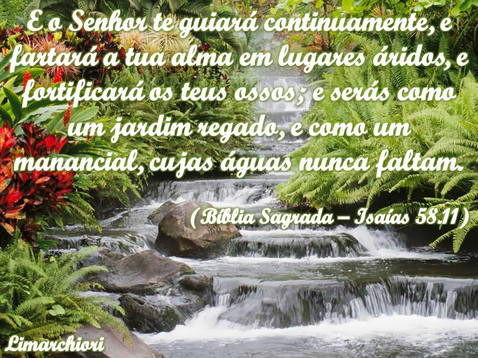 BemViver: Jardim regado