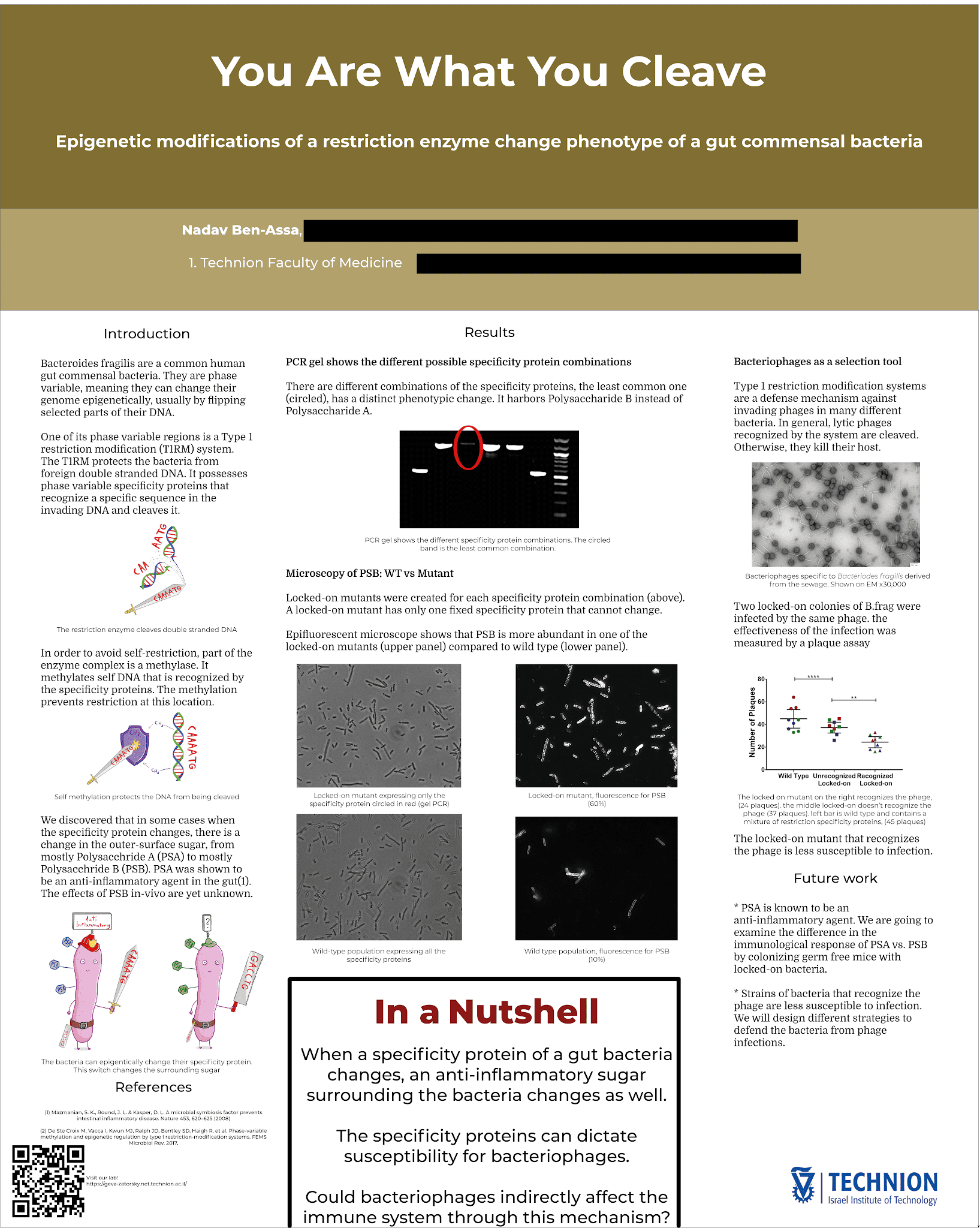Better Posters: Critique: The great cleave