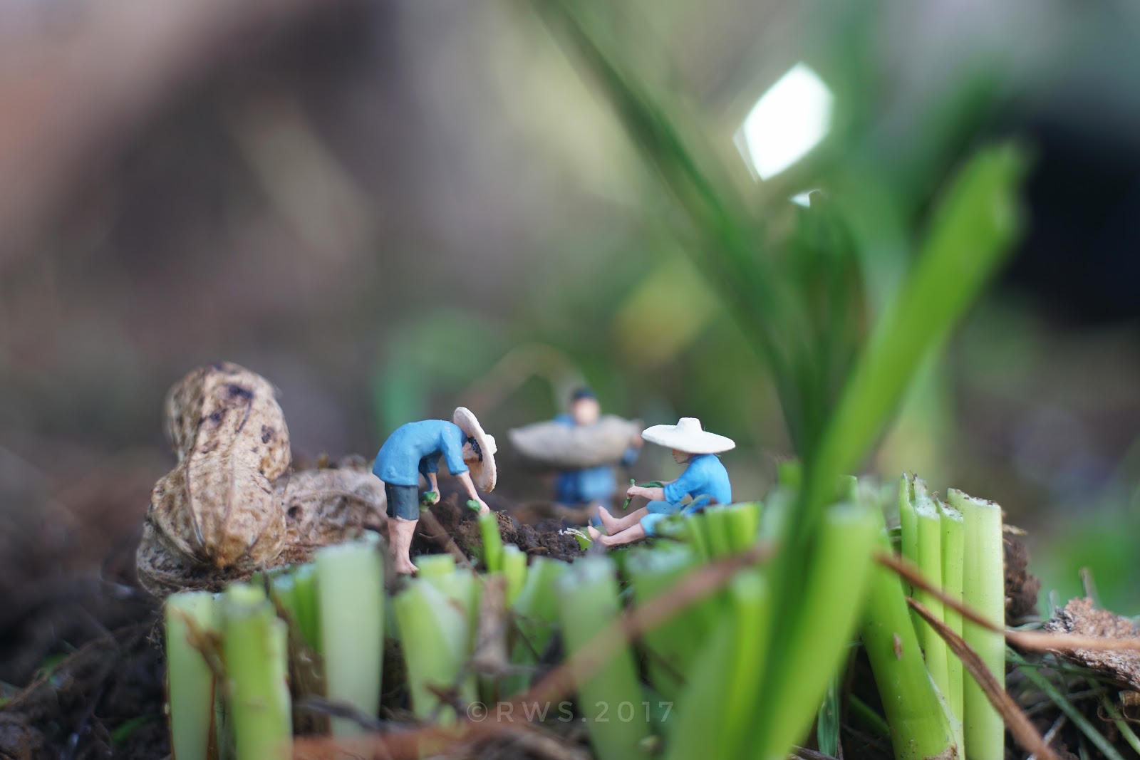 Preiser Skala 1:87 Yang Direkomendasikan Bagi Pemula Fotografi Miniatur ...