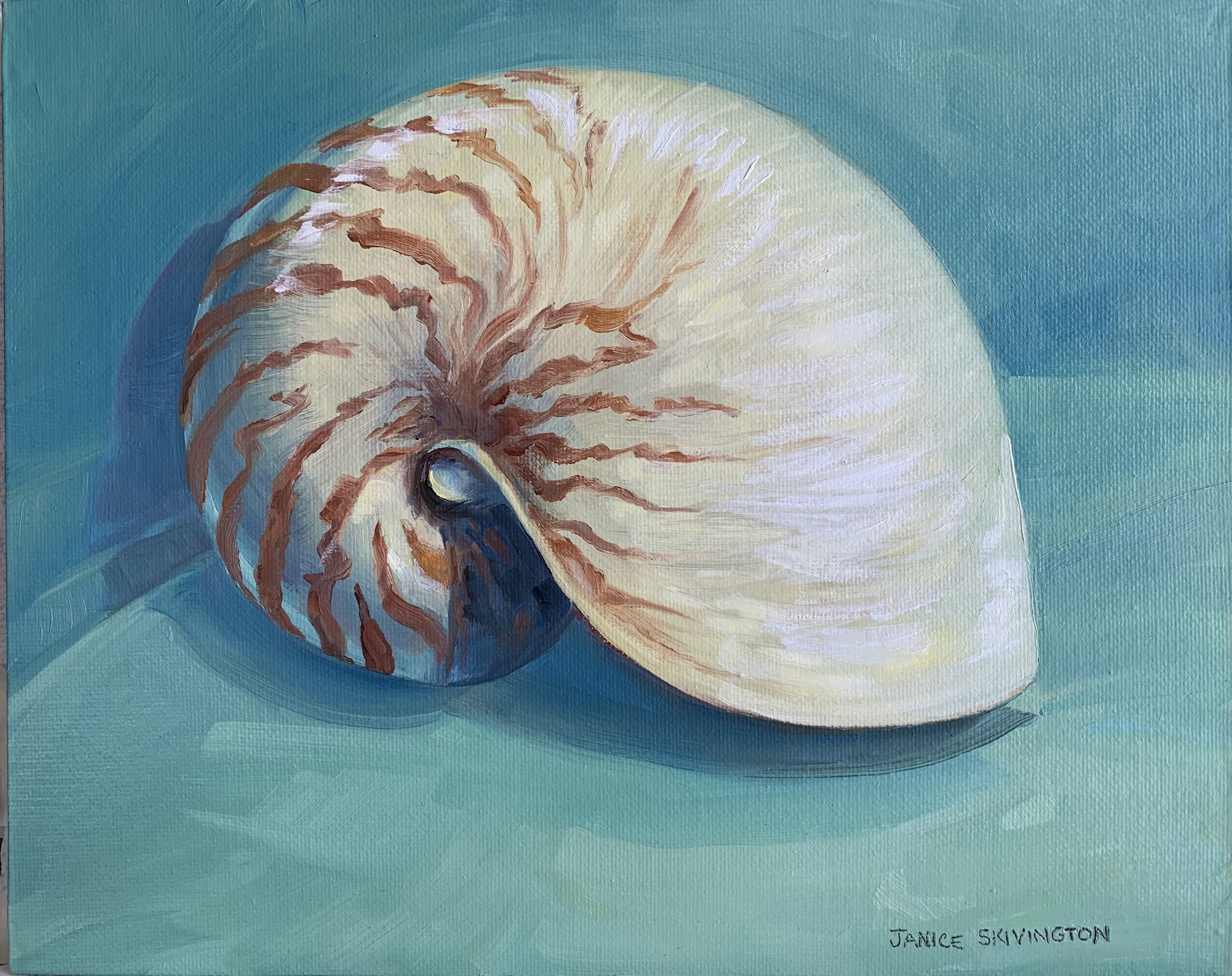 Janice Skivington: chambered nautilus