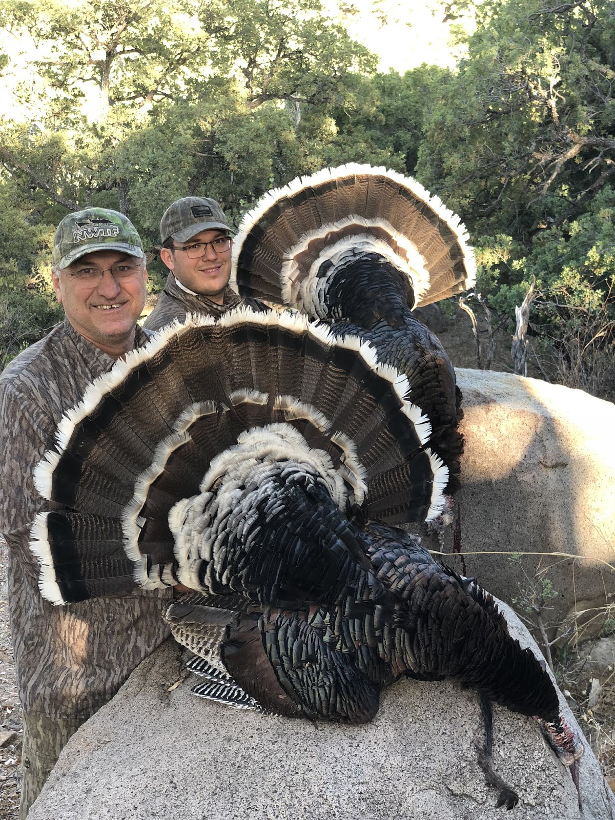 Goulds Turkey Hunt: 2019 Goulds Turkey Hunt in Mexico with the Andrew ...