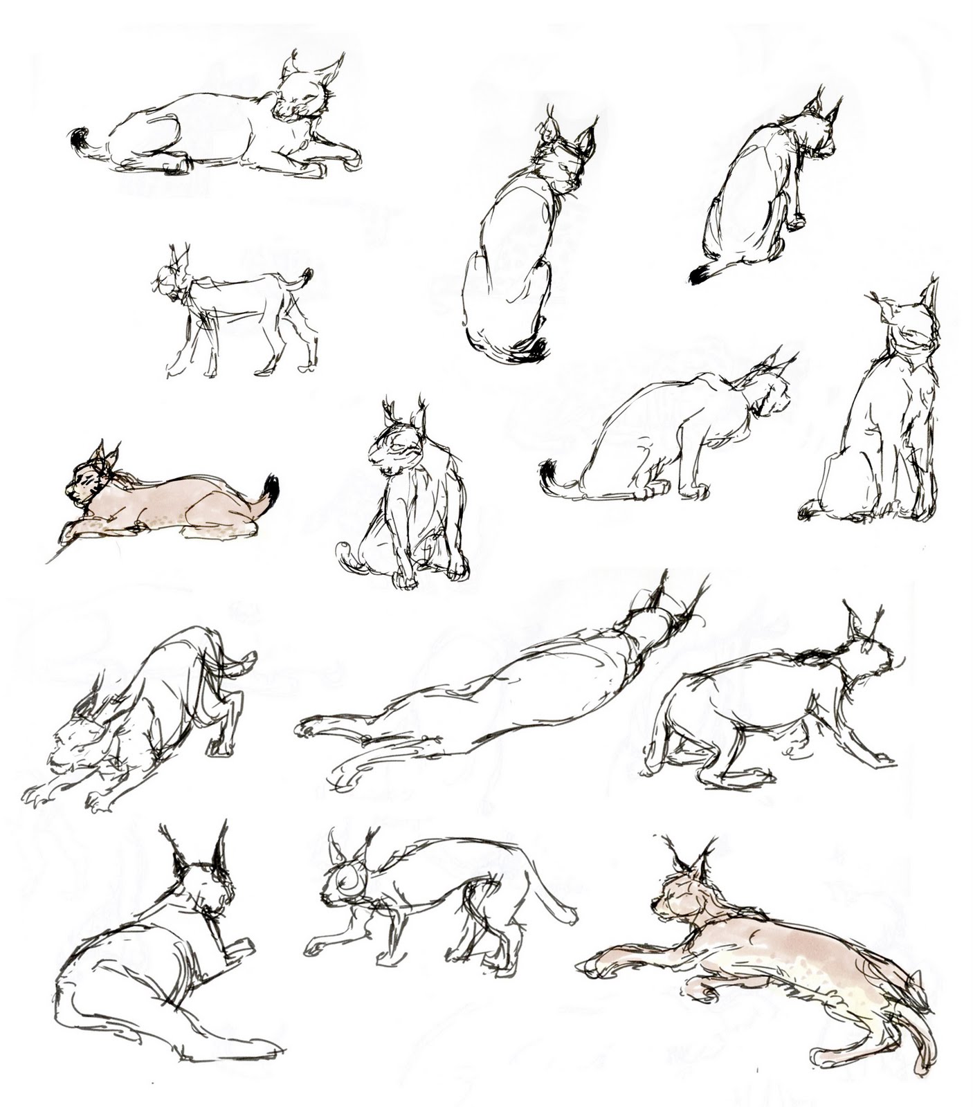 Art Kimistry: More Animal Drawings and Stuff