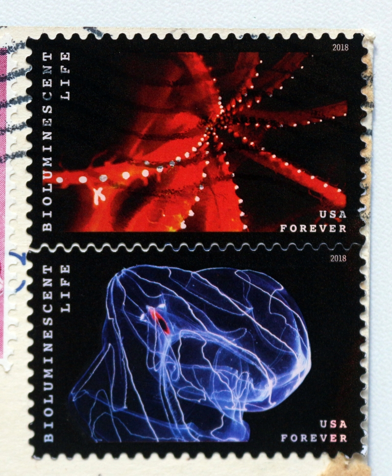 Mail Adventures: Bioluminiscent Mail