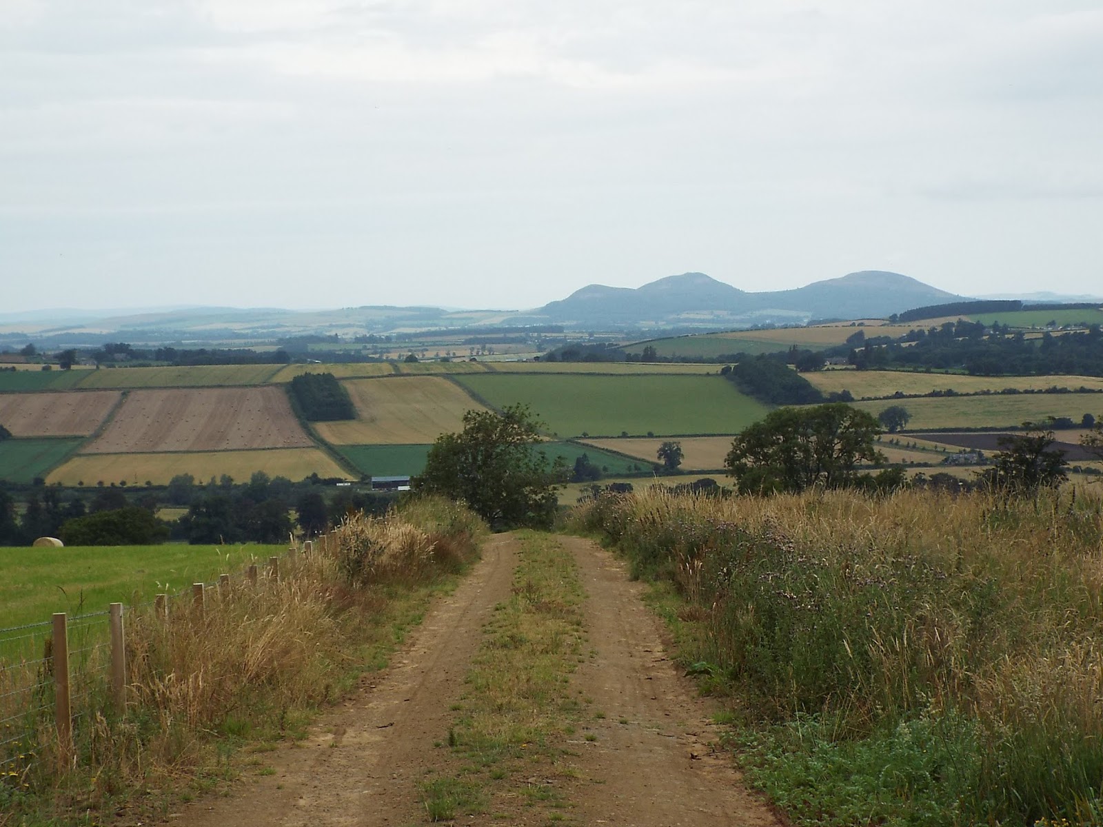 Reinterred: Jedburgh to Harestanes Walk