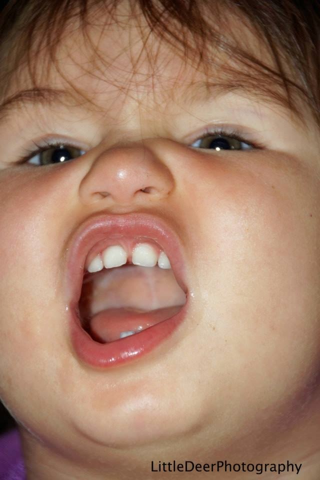 Little Deer Photography