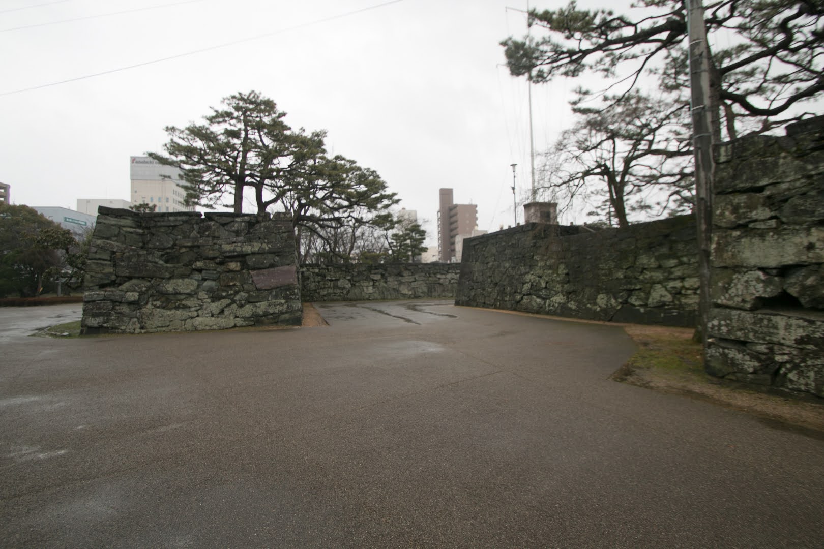 Tokushima Castle -Survived descendant of Hideyoshi's oldest confident ...