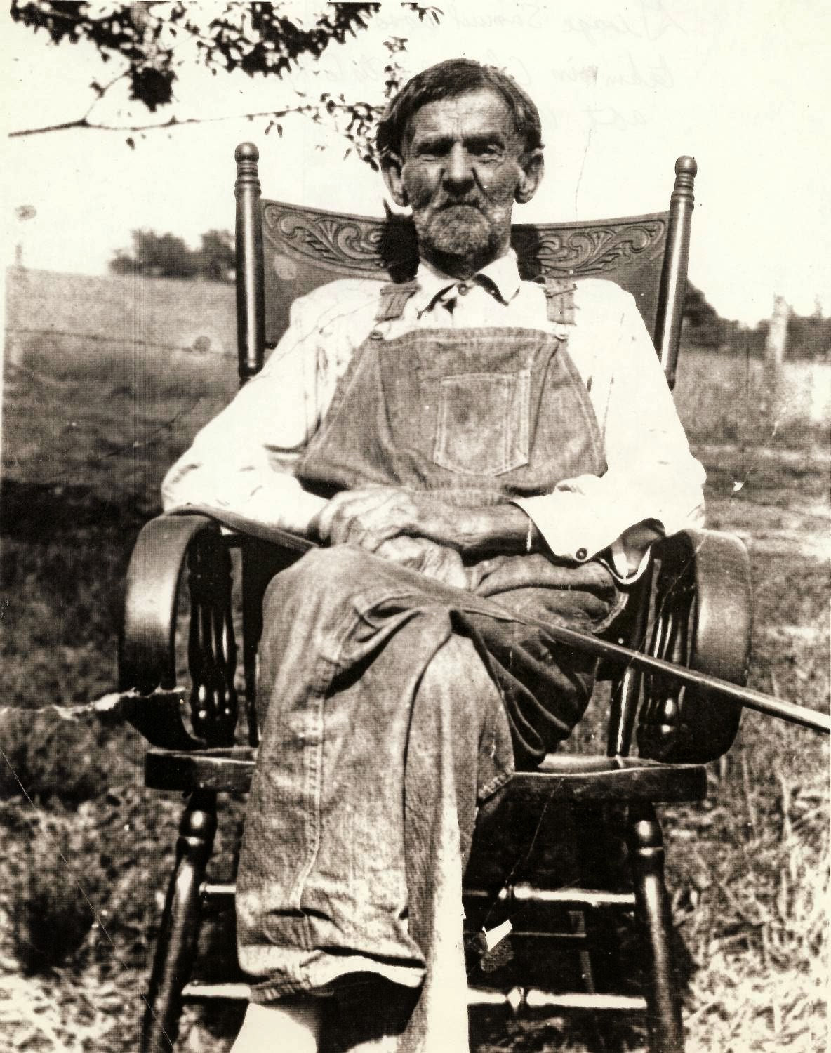 I Dig My Roots and Branches: My Doss Origins