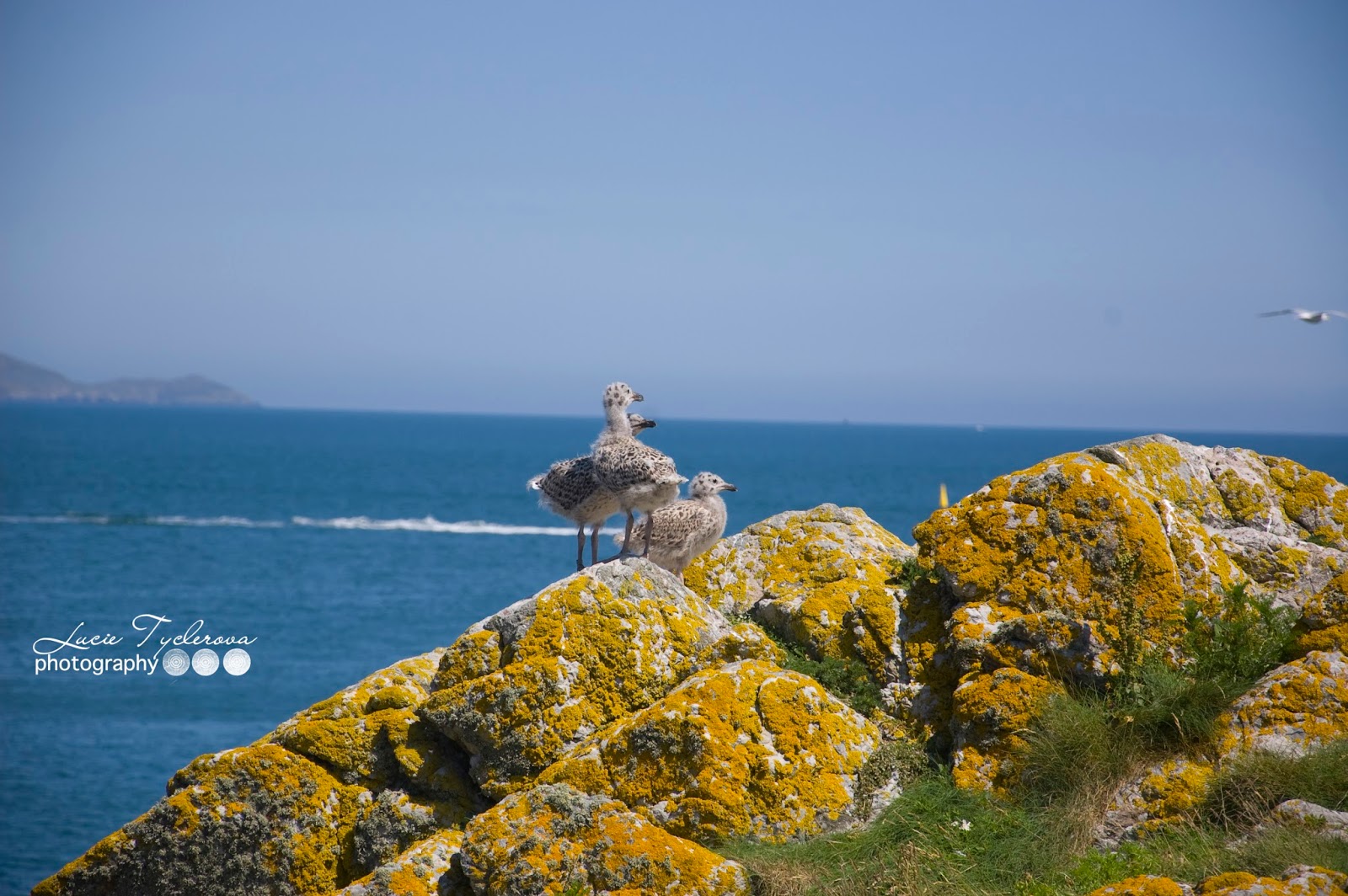 Little day trips around Dublin ...the North side