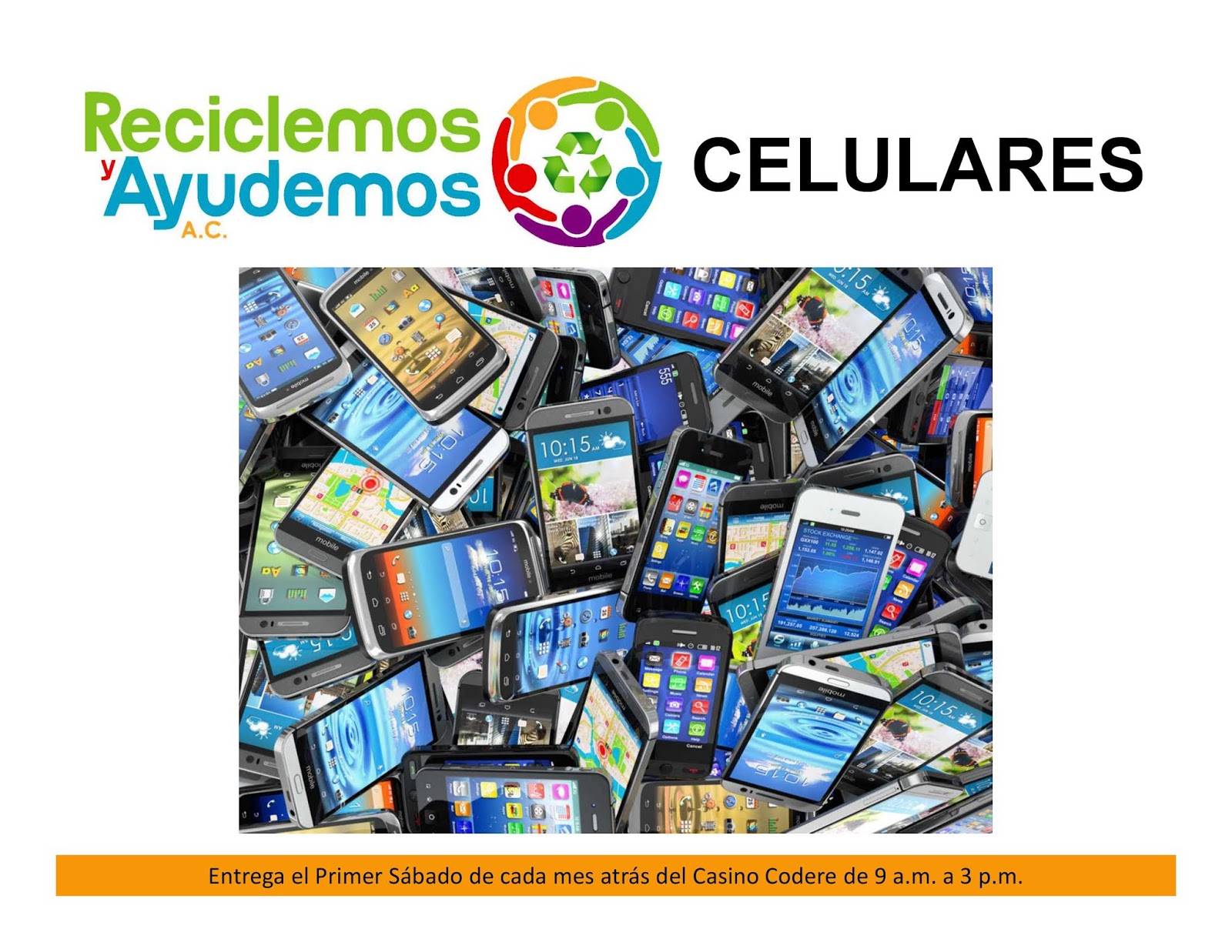 Reciclemos y Ayudemos A.C. : Lo que SÍ recibimos: