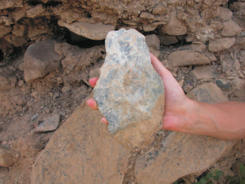 Volcano News: Toba eruption and early humans in India