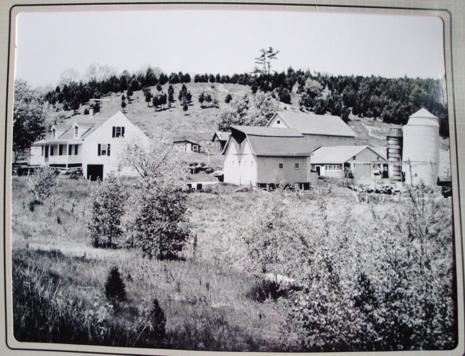 Havenwoods Farm: A 1940's pic of our Farm