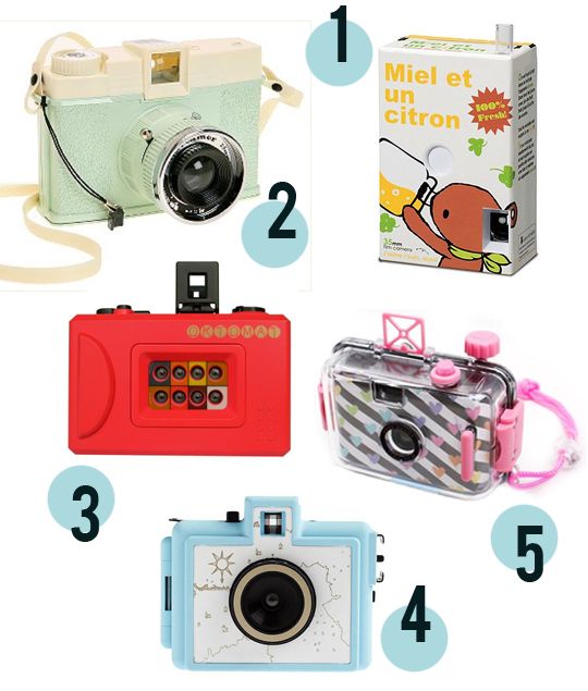 Chestnut Mocha : Impressionist Lifestyle Blog: lomography monday: best ...