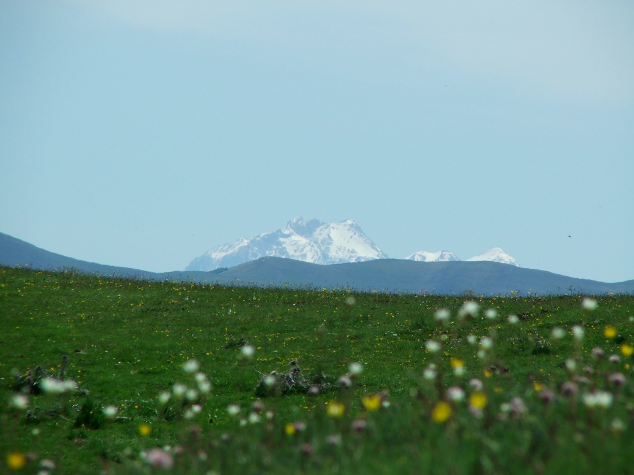 GIULIANO LAZZARI: LA NATURA (23)