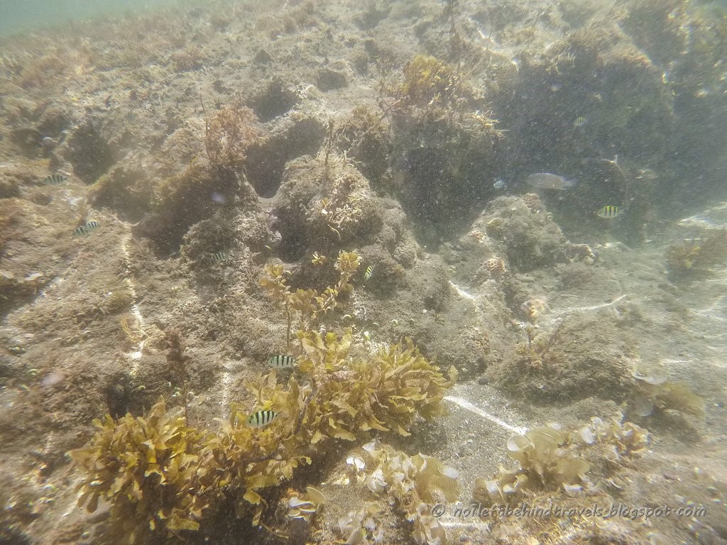 No one left behind: The Dingalan Redemption - Day 2: Matawe Beach