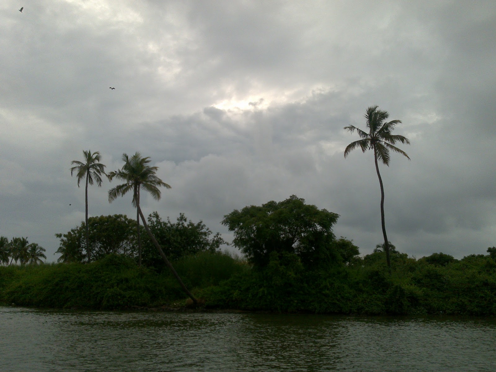 Chettuva Backwater Photos - TravelHome