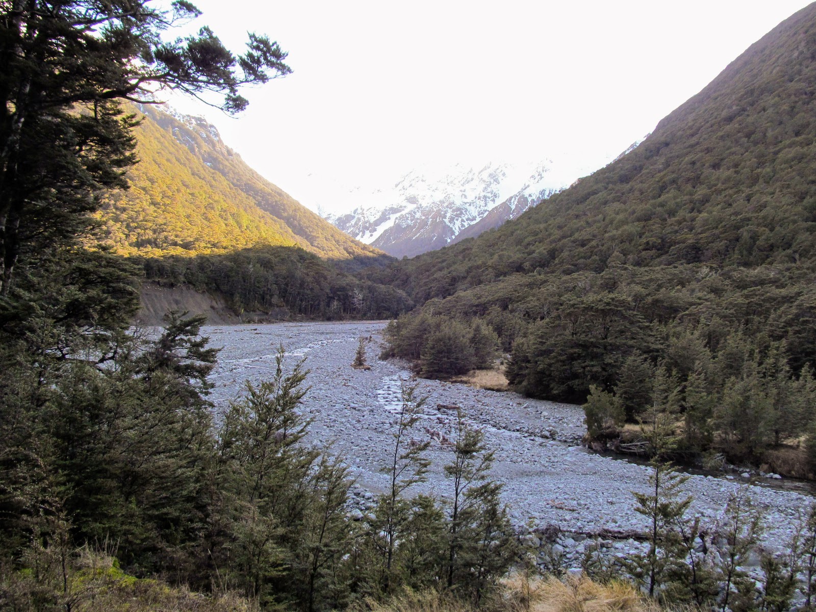 Tramping in the New Zealand backcountry: NZ Bush Adventures: Hawdon Hut ...