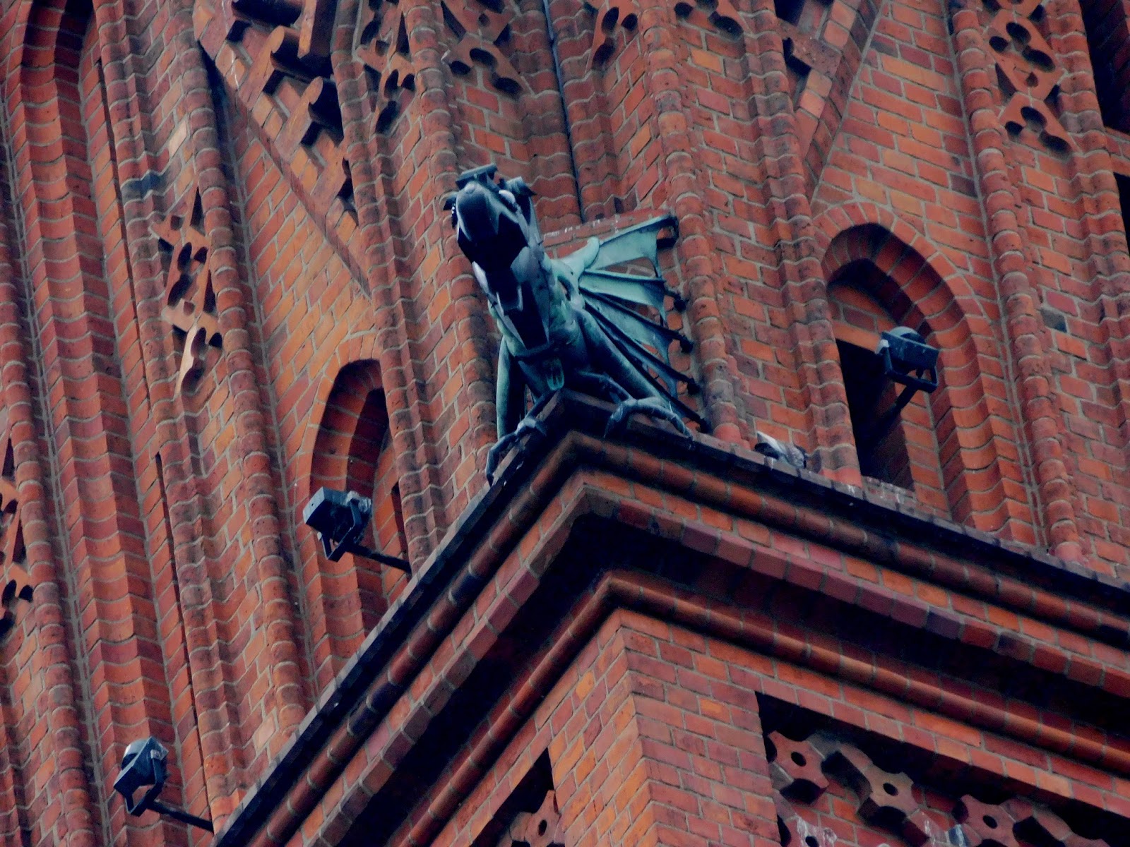 Moje fotki z wypadów. : Rzygacze rynnowe.