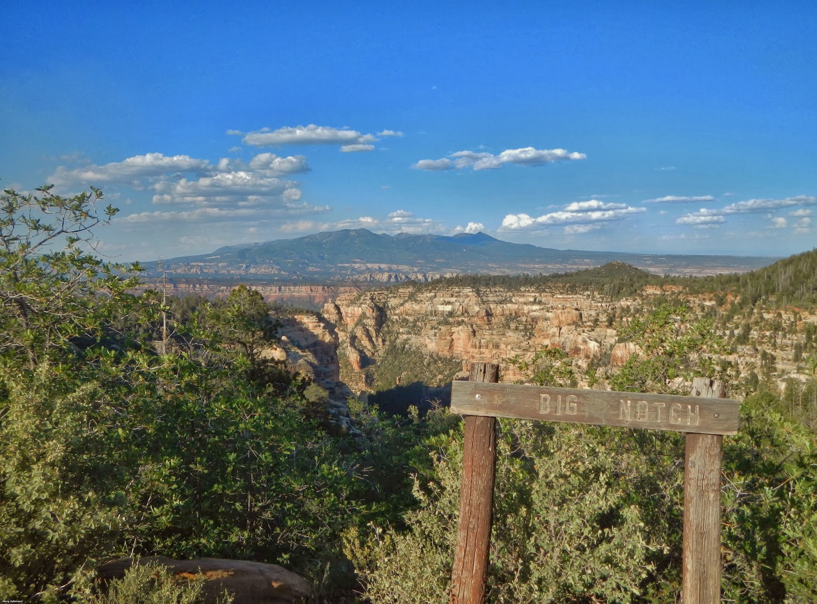 The Southwest Through Wide Brown Eyes: The Manti La-Sal National Forest ...