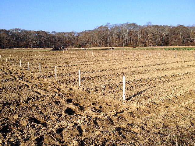 MOUND: Taking The Field