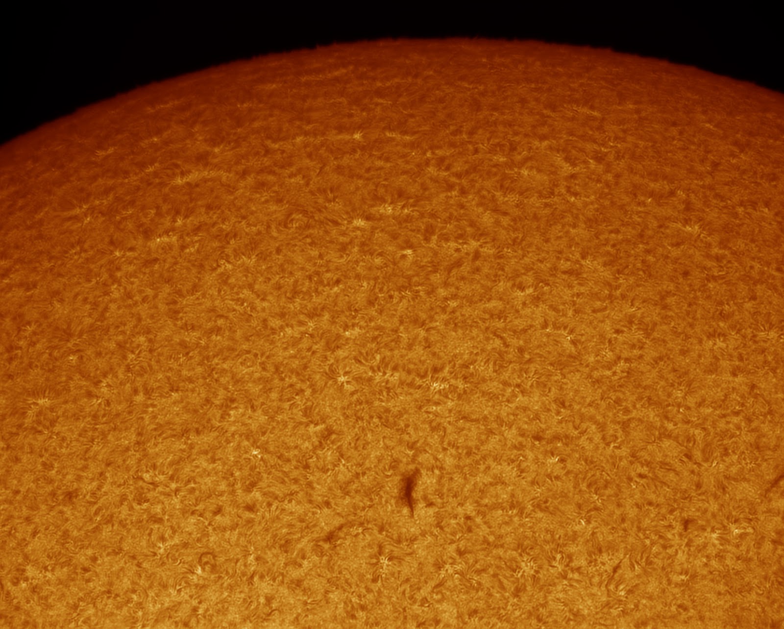 Brierley Hill Solar: Polar Faculae & Cycle 25 Jet Streams - 17th August