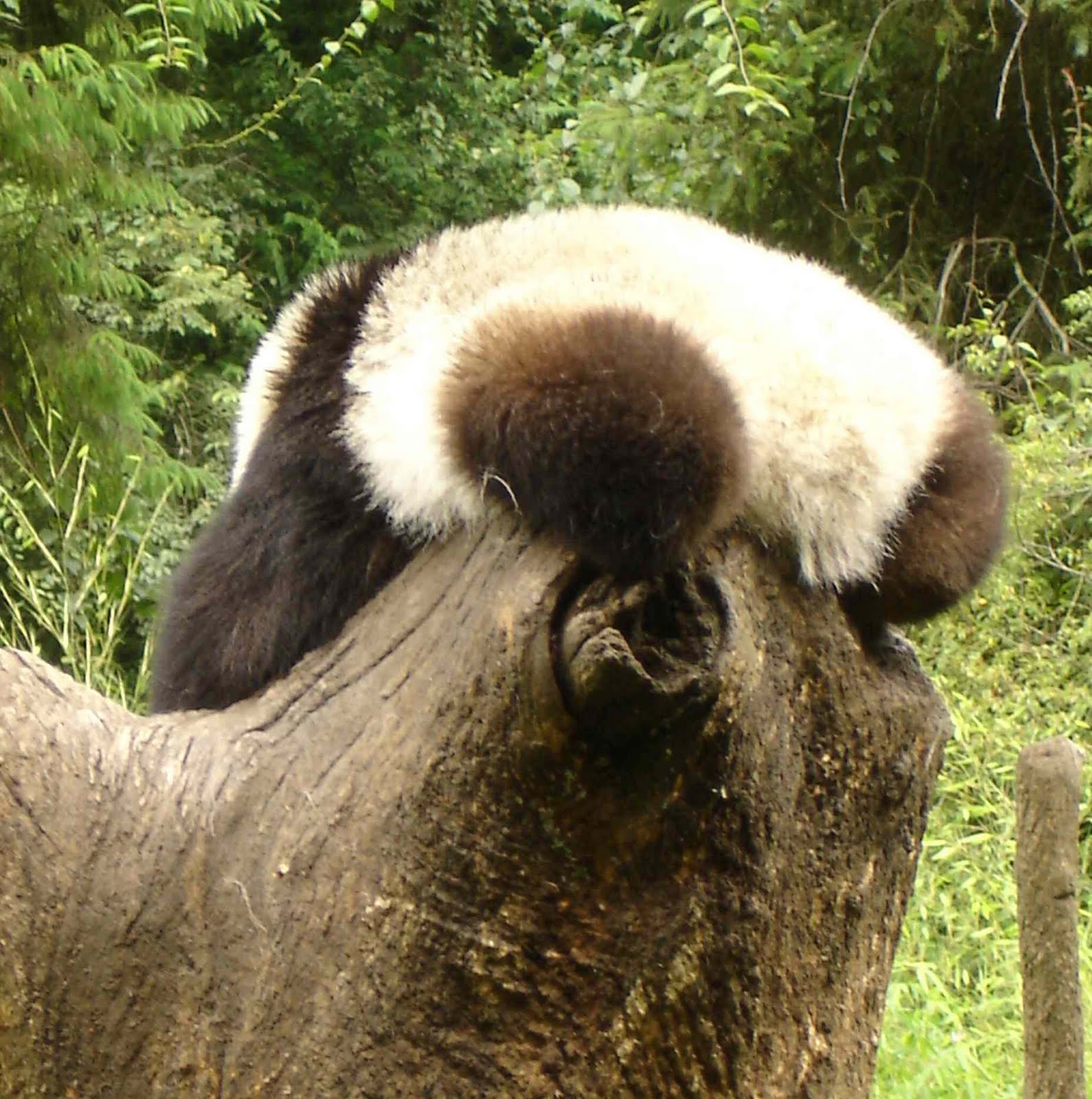 Caving for my ABCs & New Year Goal #7 Reached!