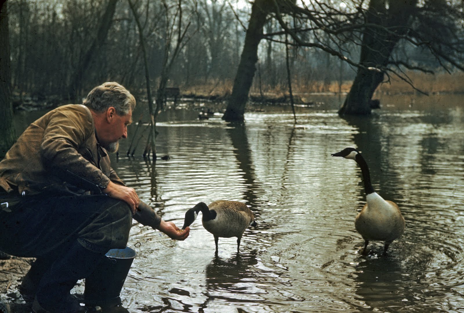 Hasler History: Arthur D Hasler Professional PhotoBio