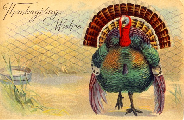 25 Colorful Vintage Thanksgiving Turkey Postcards ~ Vintage Everyday