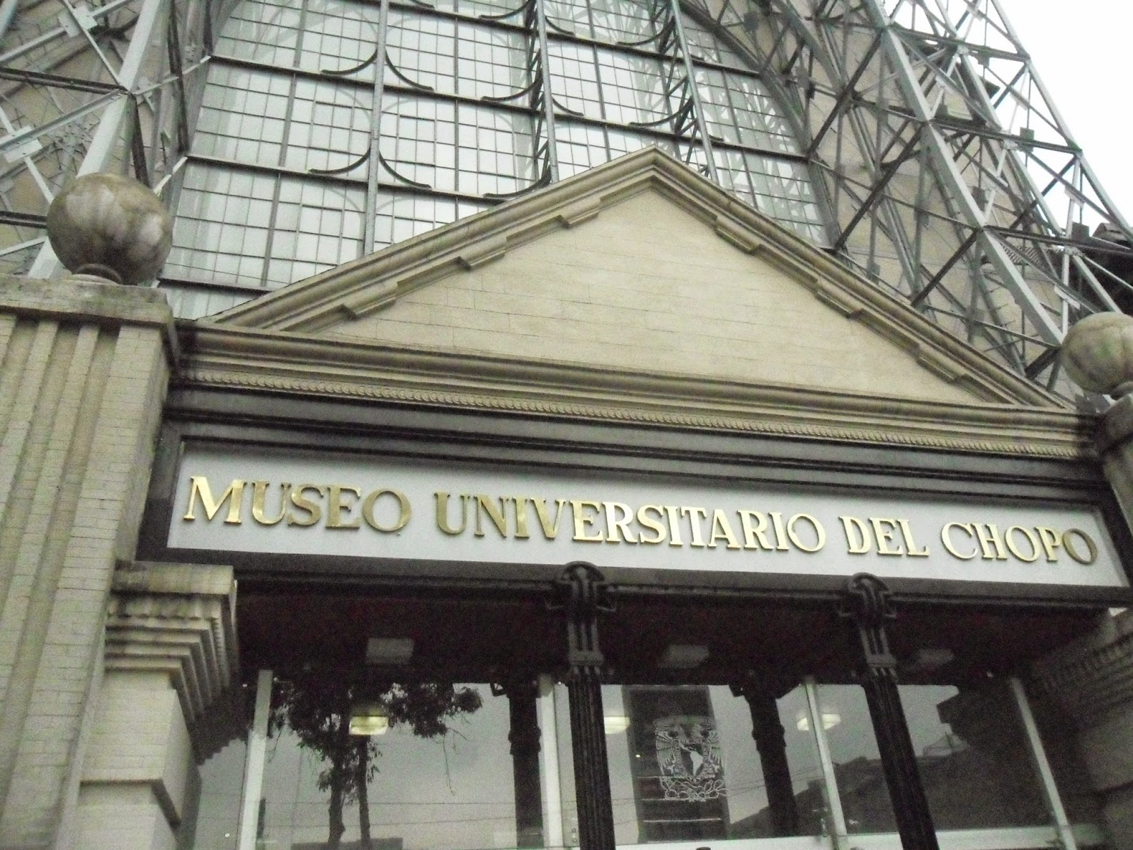 CULTURIZANDO EL DISEÑO: Museo Universitario del chopo
