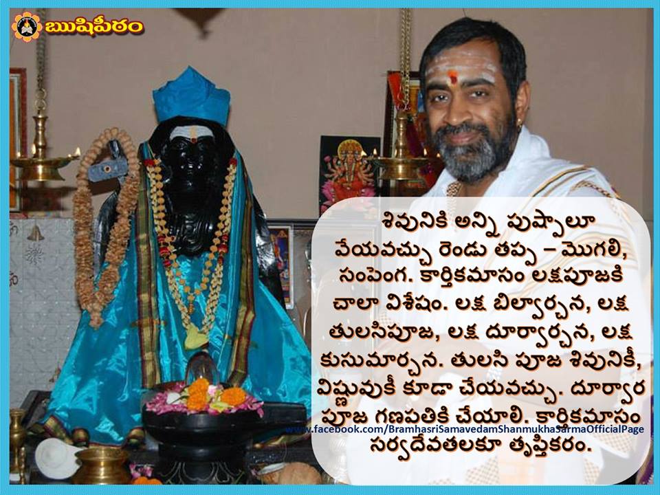 TELUGU WEB WORLD: KARTHIKAMASAM PUJA WITH ALL FLOWERS TO LORD SIVA ...